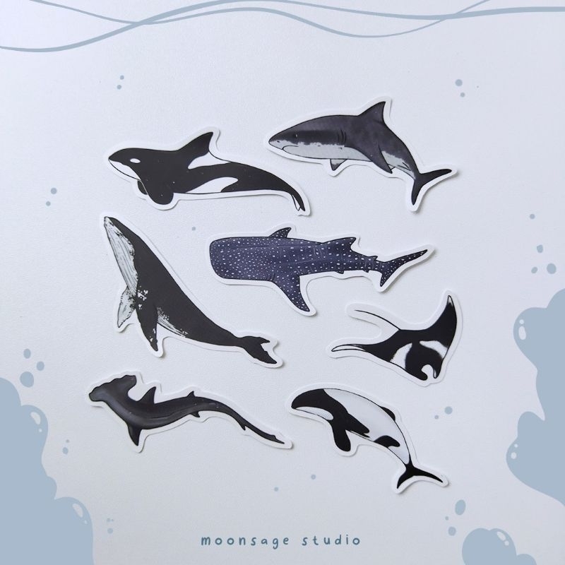 Jual MOONSAGE STUDIO Ocean Creatures sticker pack 2nd edition | Shopee Indonesia