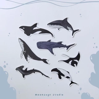 Produk Moonsage Studio | Shopee Indonesia