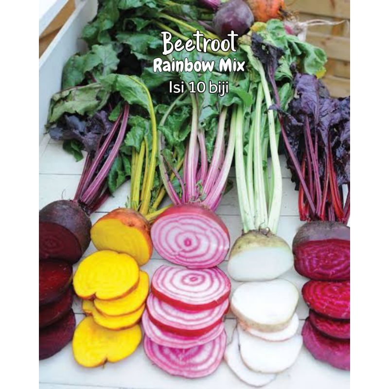 Jual Beetroot rainbow Mix benih | Shopee Indonesia