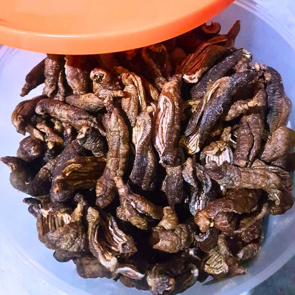 Jual Teripang Laut Tinggi Serat siap makan / matang - Original 1 kg ...
