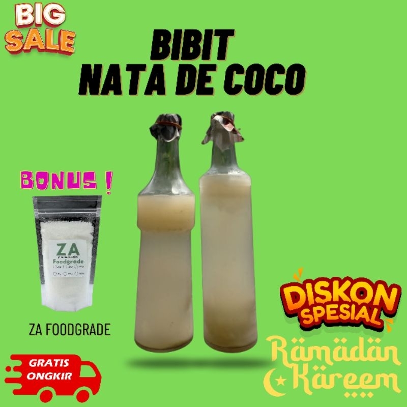 Jual Termurah Bibit Nata de Coco - Starter Acetobacter Xylinium , Bisa ...