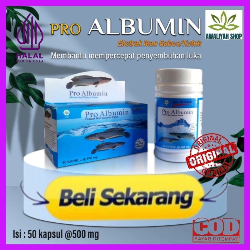 Jual Pro Albumin Kapsul Ash-Shihhah | Ekstrak Ikan Gabus /Kutuk | Shopee Indonesia