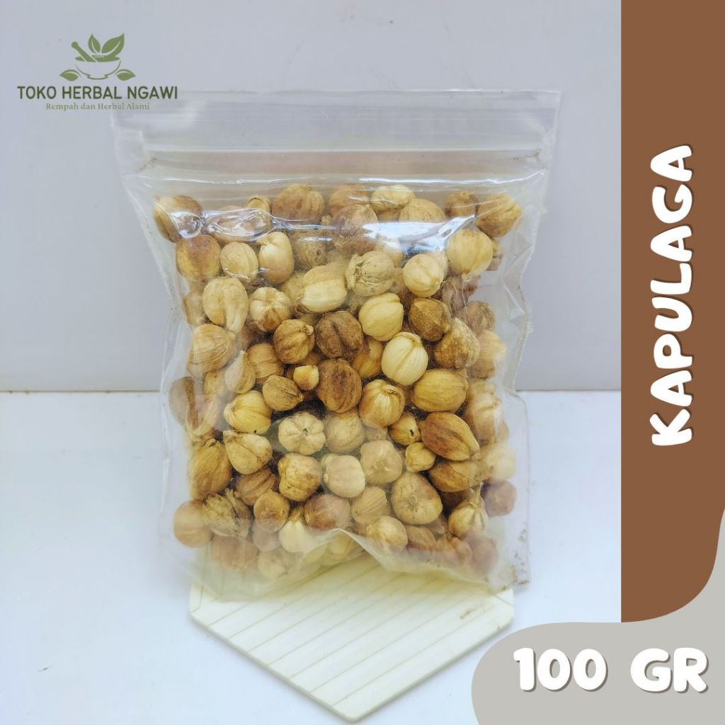 Jual Kapulaga Putih Kering | Shopee Indonesia