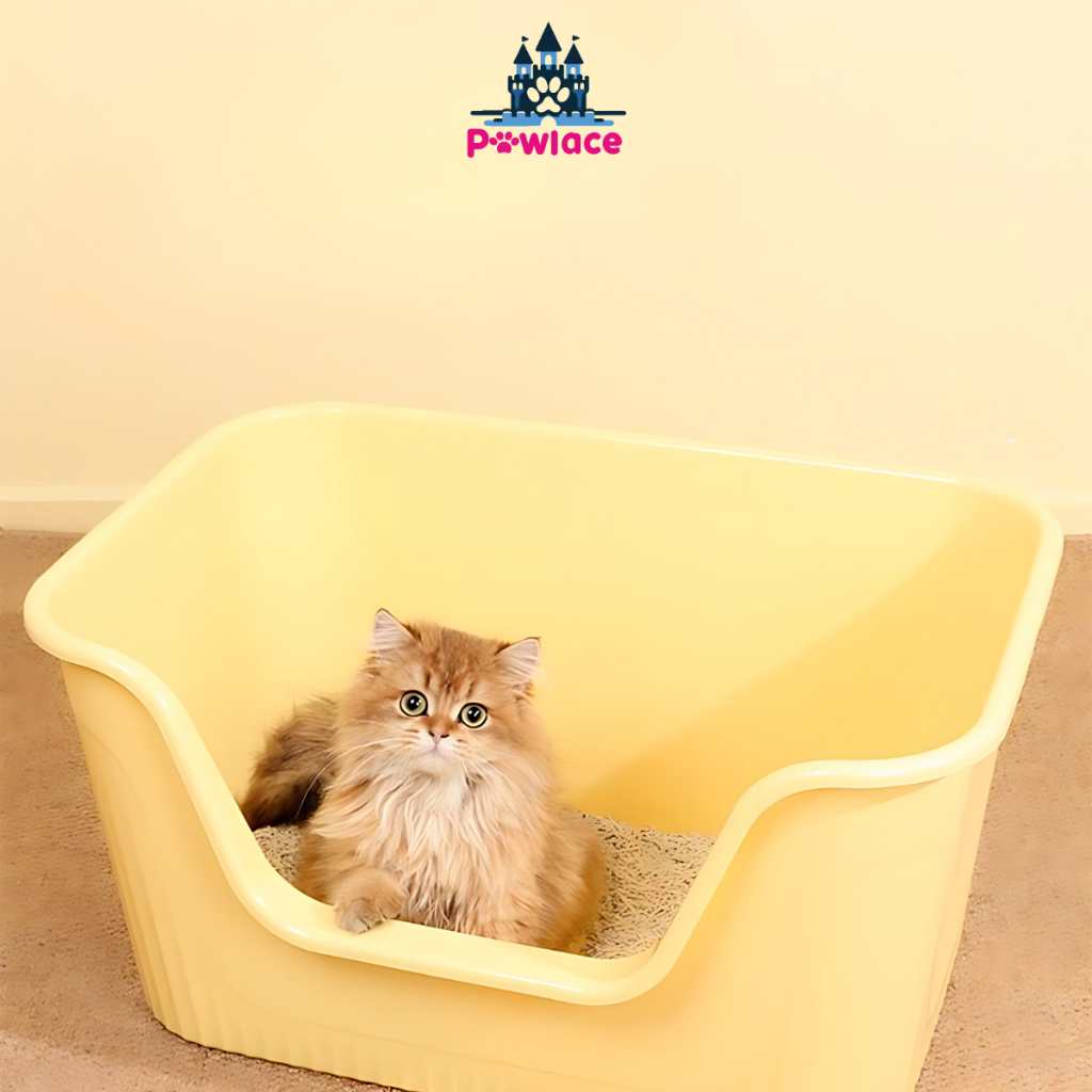 Jual Cat Litter Box Besar Free Sekop - Litter Box Model Terbuka - Kotak ...