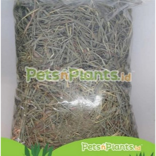 Jual Timothy Hay Rumput Kelinci Kura Tortoise Ekonomis 500 GRAM ...