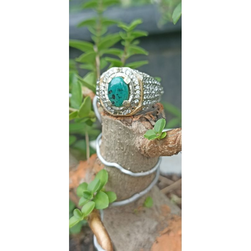Jual bacan | Shopee Indonesia