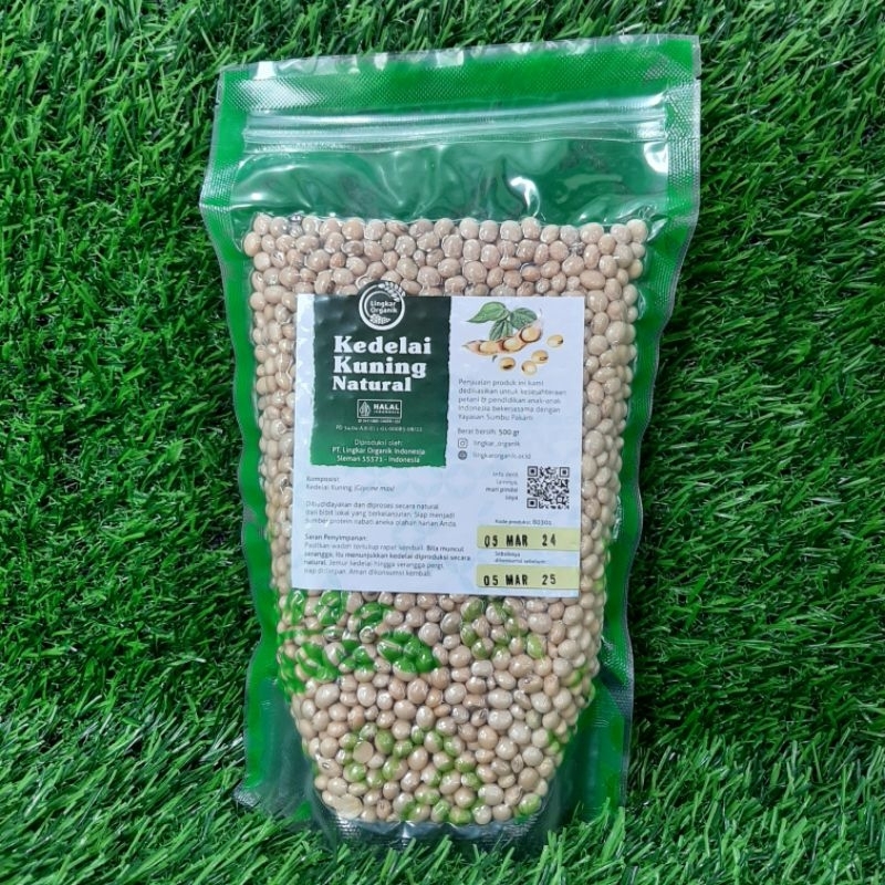 Jual Kacang Kedelai Kuning Lingkar Organik 500gr | Shopee Indonesia