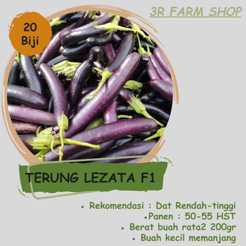 Jual Benih Terung ungu baby lezata isi 20 REPACK | Shopee Indonesia