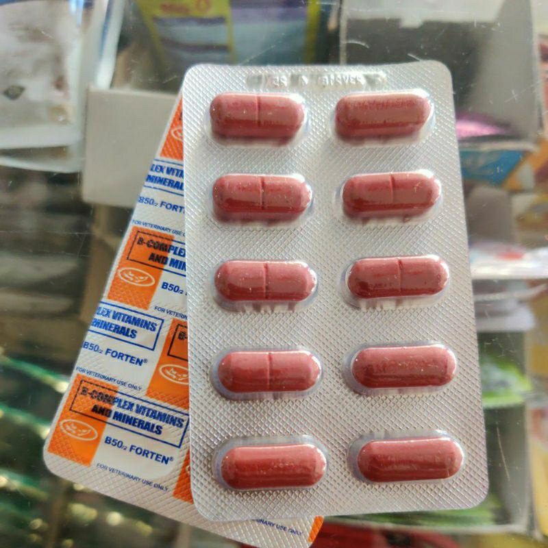 Jual B50 FORTEN ORIGINAL VITAMIN MINERAL AYAM 1 PAPAN ISI 20 | Shopee ...