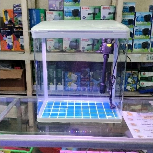 Jual Aquarium Full Set 38cm (incl Lampu & Filter) | Shopee Indonesia