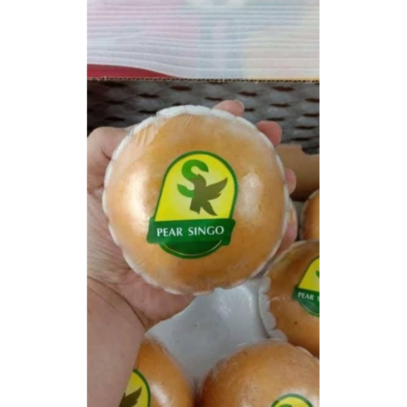 Jual PIR SINGO | Pear SK | pir wangsan | Buah Pir singo 1 kg dibandung ...