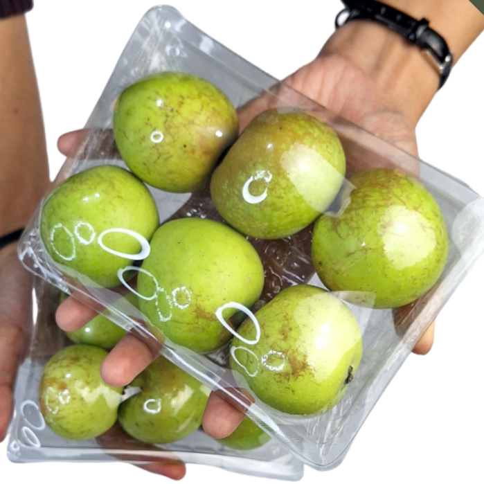 Jual BUAH SEGAR - APEL MALANG CERI APEL LOKAL OLEH OLEH KHAS MALANG ...