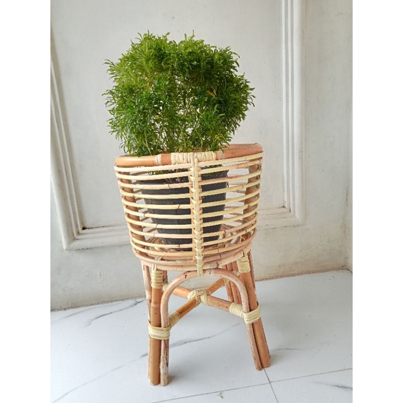 Jual STANDING POT /COCOK BUAT HIASAN TERAS ATAU WADAH POT BUNGA CANTIK ...
