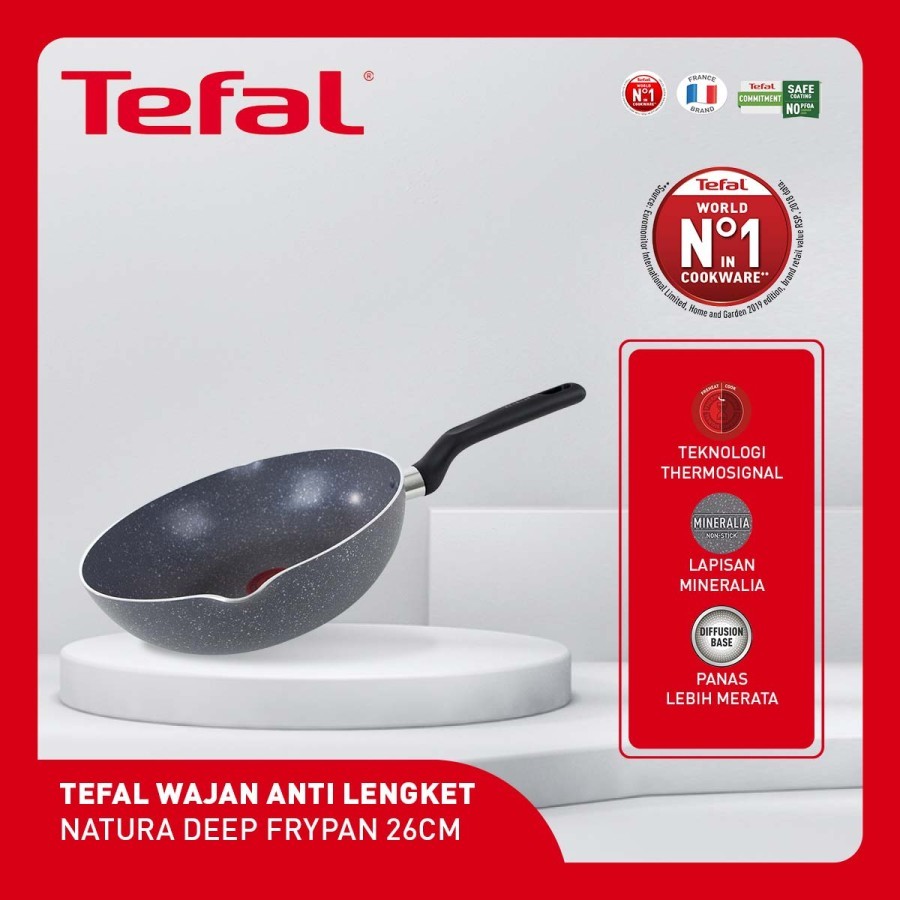Jual TEFAL Natura 26 Deep Fry Pan Wajan Anti lengket B2266595 - 2100111898 | Shopee Indonesia