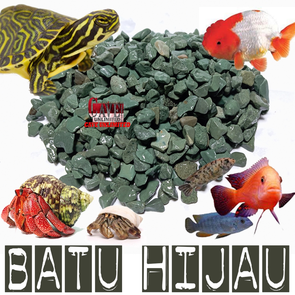 Jual BATU HIAS ALAM HIJAU KERIKIL KORAL STONE SUBSTRAT ALAS KANDANG ...