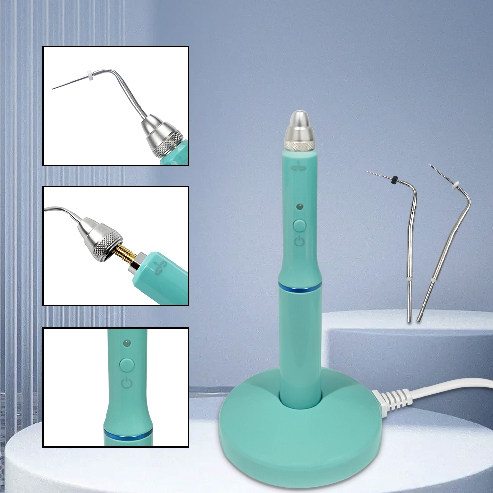 Jual Dental Cordless Gutta Percha Obturation System Endo Heated Pen ...