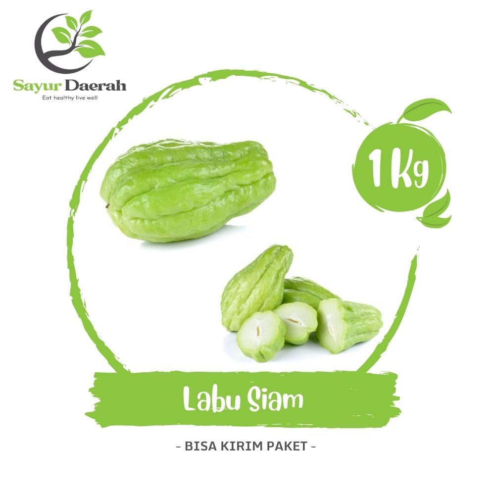 Jual Labu Siam Besar Acar Baby 1 Kg | Sayur Daerah | Shopee Indonesia