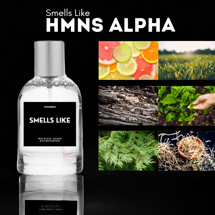 Jual HMNS ALPHA Inspired Parfume | SMELLS LIKE ByFarren Parfum Pria ...