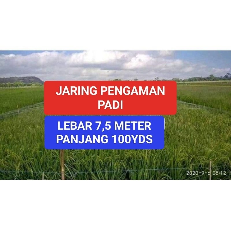 Jual JARING BURUNG PADI SAWAH 7,5mx100yds jaring sawah burung pipit ...