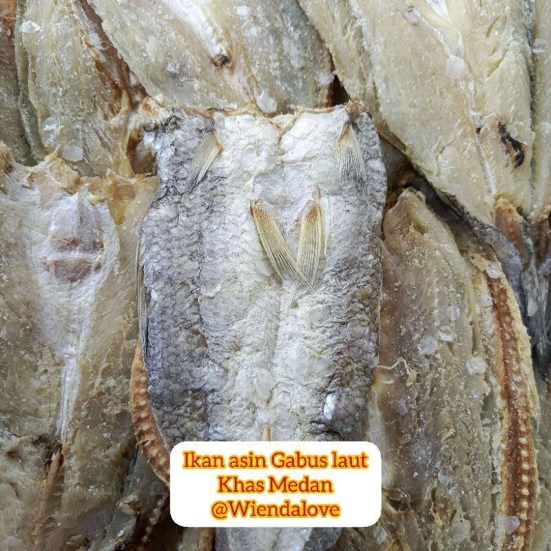 Jual Ikan Gabus laut khas Medan 1 kg by Wiendalove | Shopee Indonesia