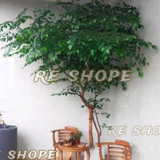 Jual pohon besar tinggi 2,5mtr Bunga plastik - pohon dekorasi - pohon ...