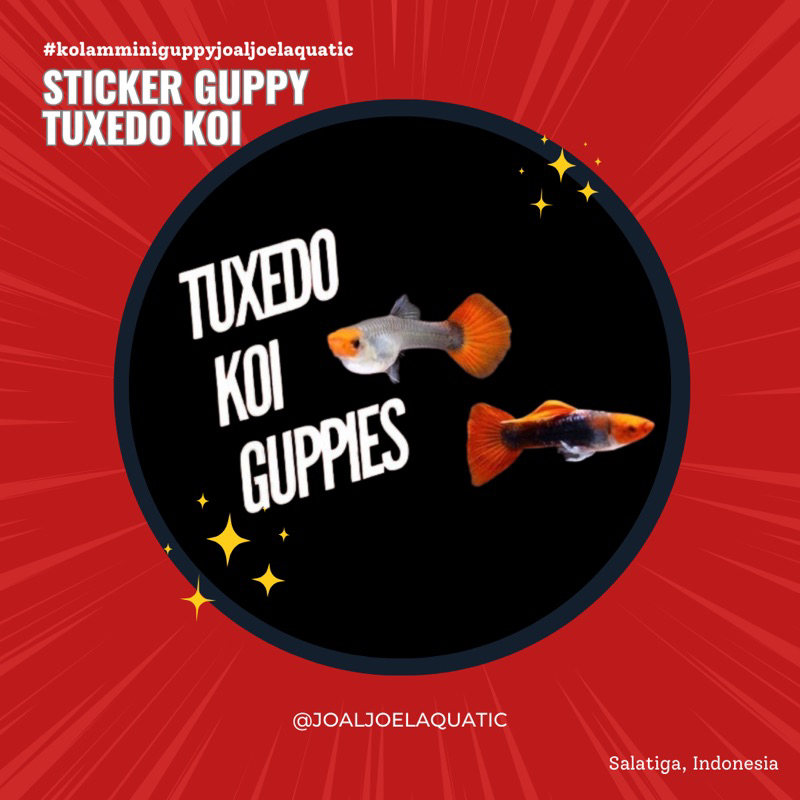 Jual STICKER TUXEDO KOI GUPPY | Shopee Indonesia