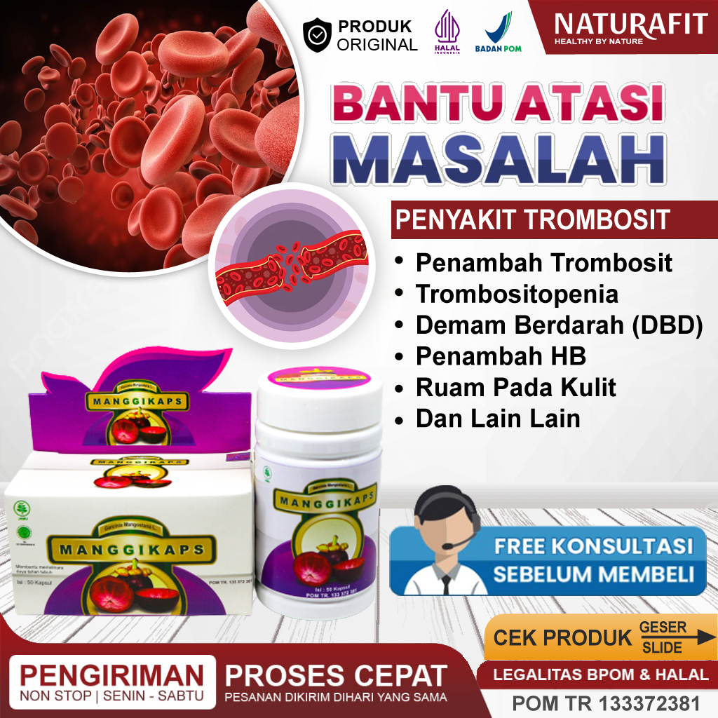 Jual Obat Penambah Trombosit Paling Ampuh Trombositopenia Trombosit ...