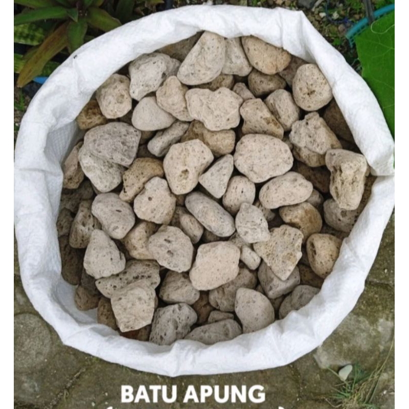 Jual Batu Apung Karungan 5 KG, Pumice Stone, Media Filter Aquarium ...
