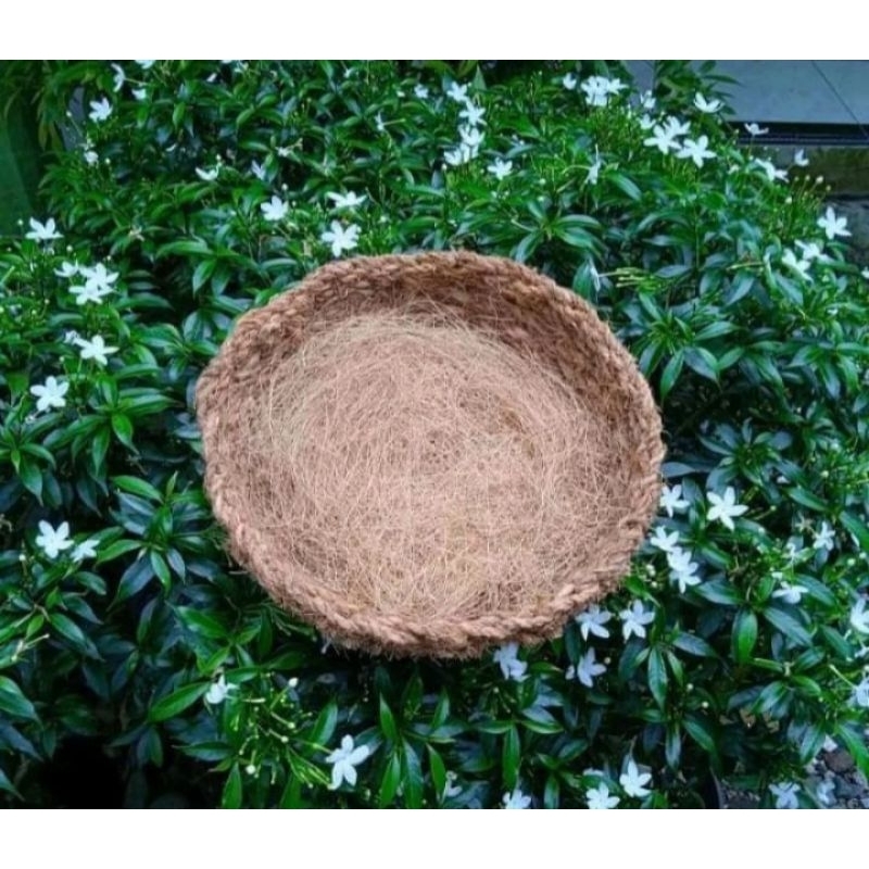 Jual Tarangan susuh sarang ayam dan unggas anyaman tali serabut kelapa ...
