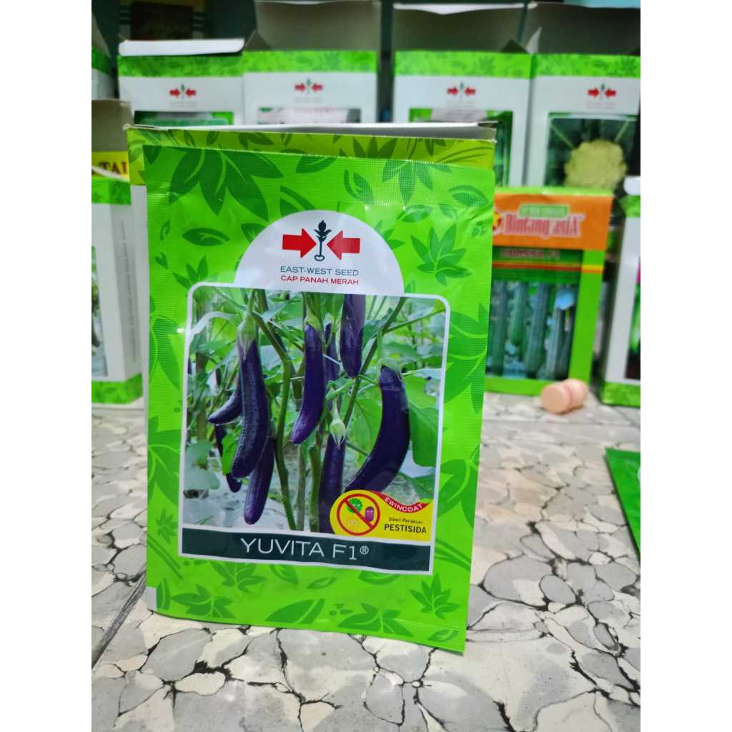 Jual Benih Terong Ungu Yuvita F1 isi 1100 butir | Shopee Indonesia