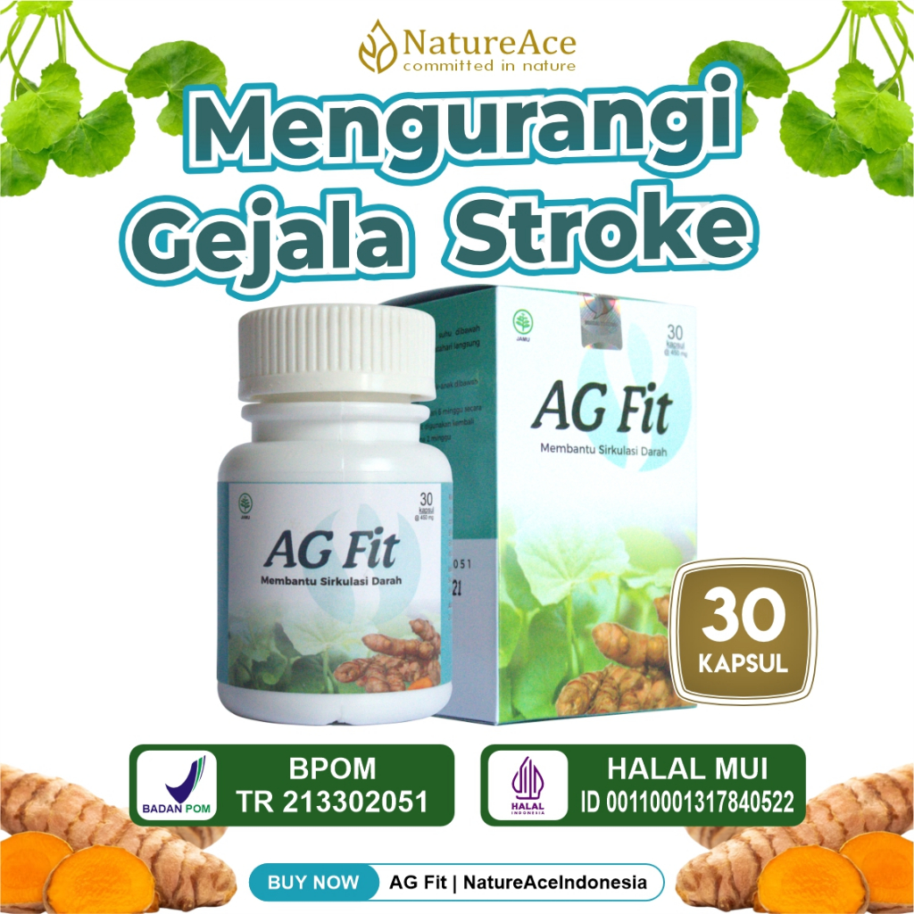Jual AG Fit Obat Stroke Ringan Berat Atasi Darah Tinggi Sakit Kepala ...