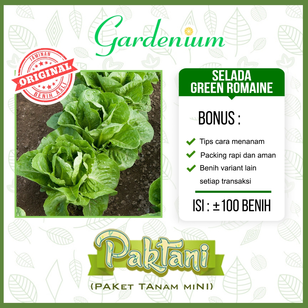 Jual 100 Benih Selada Green Romaine Unggul Paktani | Shopee Indonesia