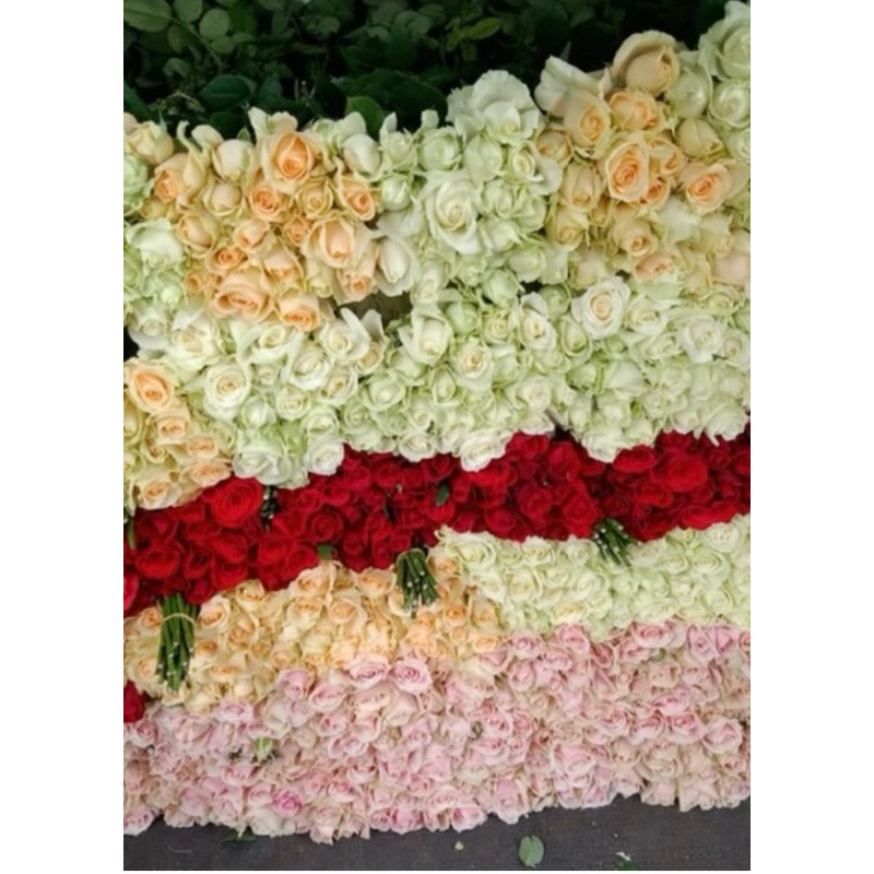Jual bunga mawar (20 batang) | Shopee Indonesia