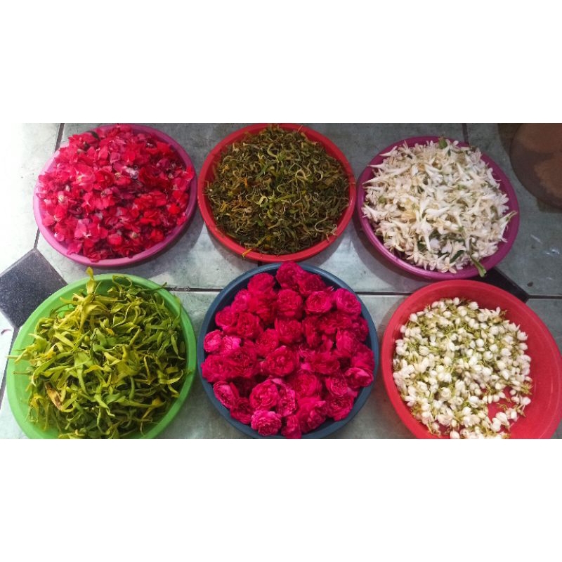 Jual BUNGA SEGAR ZIARAH MAKAM ALL VARIAN - BUNGA ASLI FRESH | Shopee ...