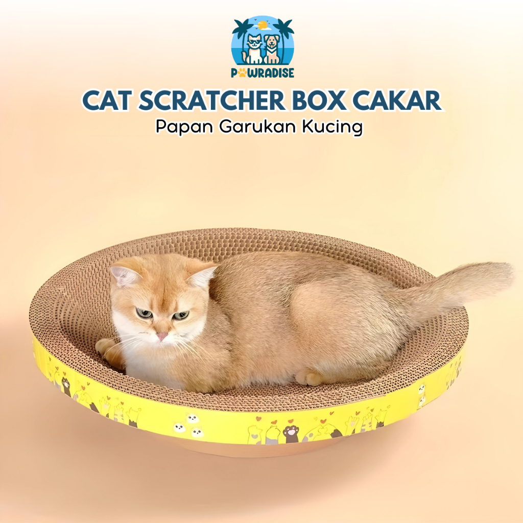 Jual Cat Scratcher Box Cakar Model Bulat Untuk Kucing - Garukan Kucing ...