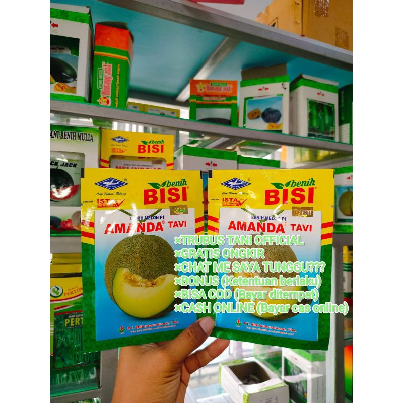Jual Benih Melon Madu Amanda Tavi F1 isi Per Sachet (550 +/-) butir ...