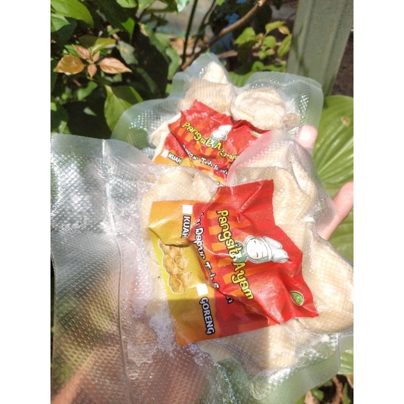 Jual FROZEN FOOD PANGSIT AYAM WONTOON AYAM ISI 5 PCS ISI 10 PCS ISI 15 ...