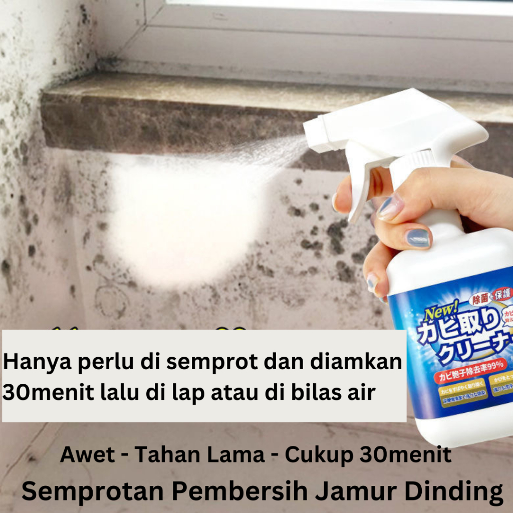 Jual Semprotan Penghilang Jamur Dinding / Alat Pembersih Jamur Dinding ...