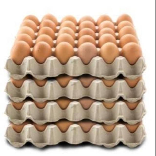 Jual Telur Ayam Negri Omega 3 Curah 15 KG | Shopee Indonesia
