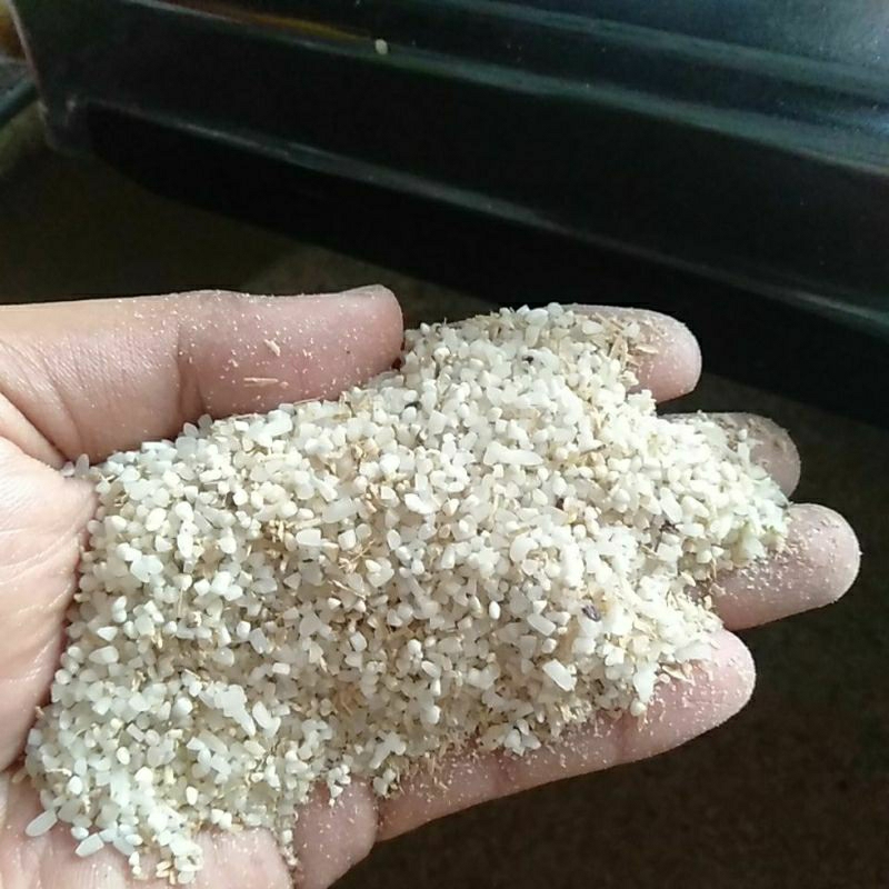 Jual Beras menir pakan ayam bebek 1kg | Shopee Indonesia