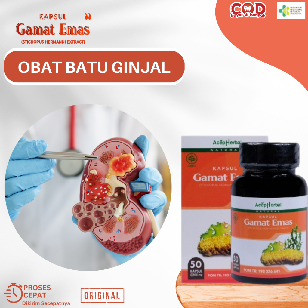 Jual Obat Batu Ginjal, Obat Penghancur Batu Ginjal, Obat Batu Empedu, Obat Gagal Ginjal, Obat ...