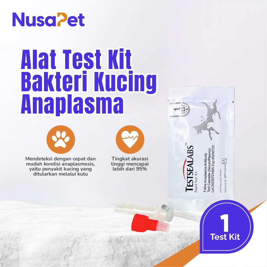 Jual Alat Test Kit Infeksi Bakteri Kucing Feline Anaplasma – Rapid Test ...