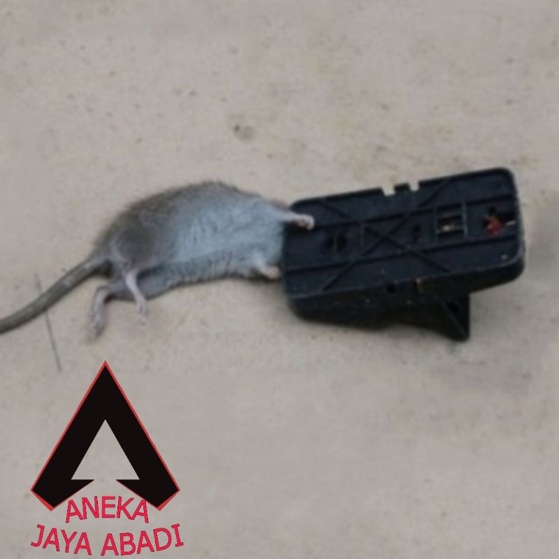 Jual LEM TIKUS PANJANG 1,2 METER LEM TIKUS BESAR JEBAKAN TIKUS AMPUH ...