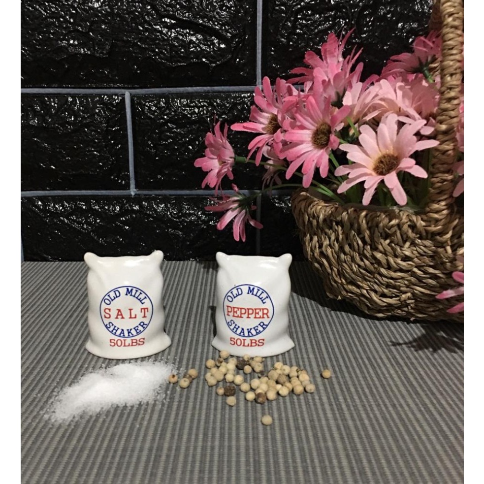 Jual Tempat dan wadah lada bumbu lucu salt pepper shaker set | Shopee ...