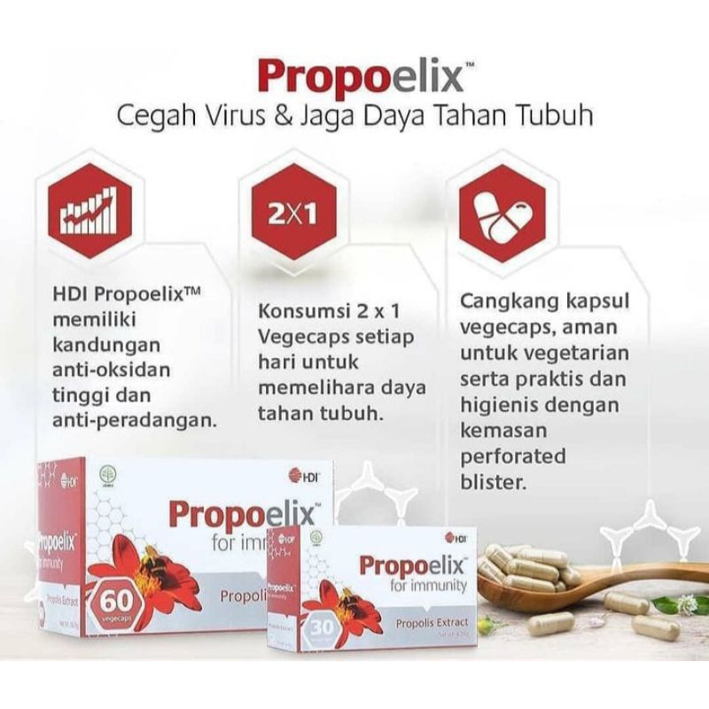 Jual propoelix for immunity 60 & 30 kapsul exp 2025 | Shopee Indonesia