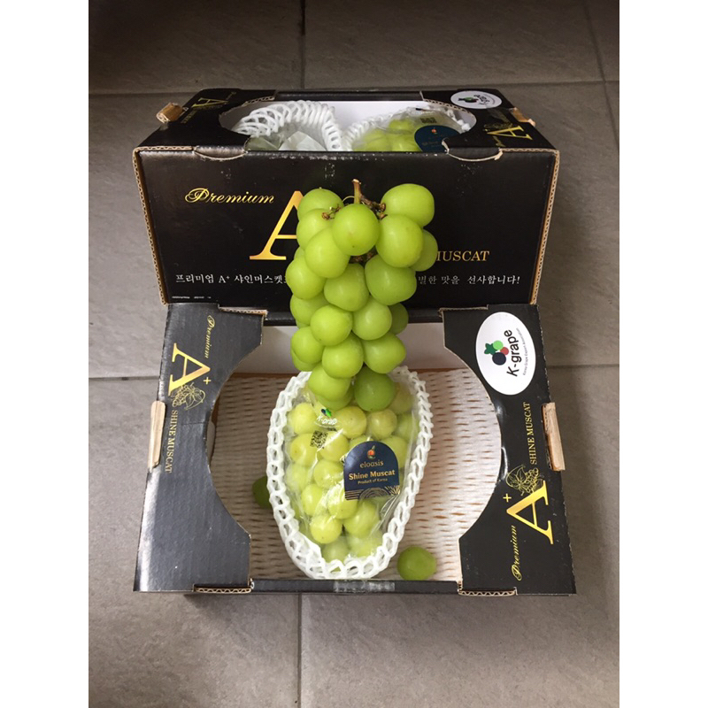 Jual Anggur Hijau Shine Muscat Korea 1 Dus (2 KG) Fresh Import | Shopee ...