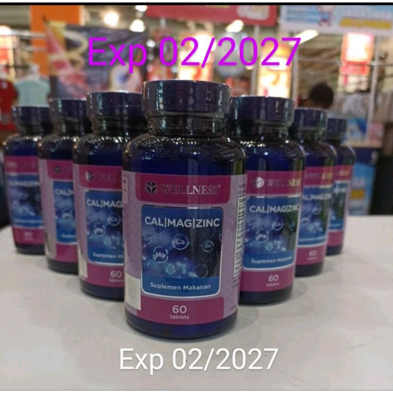 Jual Wellness Cal Mag Zinc 60 Tablets | Shopee Indonesia