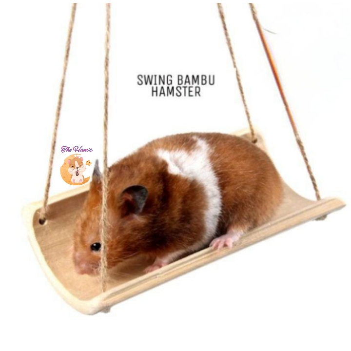 Jual (The Ham's) Mainan Hamster Ayunan Gantung Bambu | Shopee Indonesia