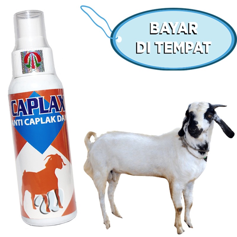 Jual CAPLAX KAMBING Spray 120ml Anti Caplak dan Kutu Pada Kambing ...