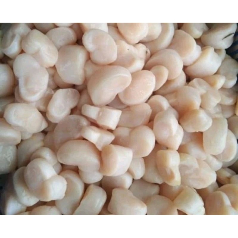 Jual Daging kupas kerang kampak / Scallop bersih | Shopee Indonesia